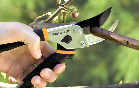 Desktop view version of website Back to mobile version