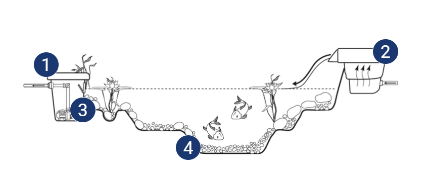 Aquascape Large Deluxe Pond Kit - 6.4m x 7.9m