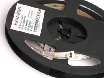 24V AC/DC LED Strip Lighting