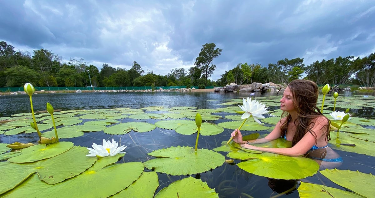 2. Ecosystem ponds