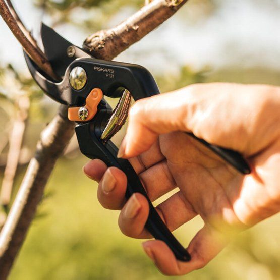 Hand cultivator tool : This is a must as even if your aren’t doing a ...