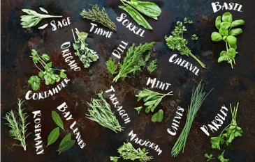 What are the most common herbs that all should grow and why?