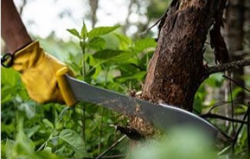 Tips on Safely using Machete in Bush