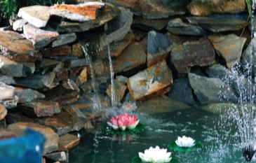 What are the 'must have' Pond Equipment?