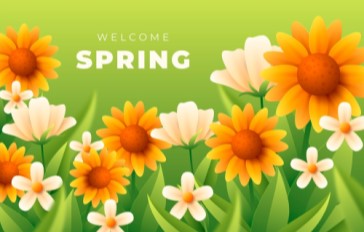 Preparing your Garden for Spring